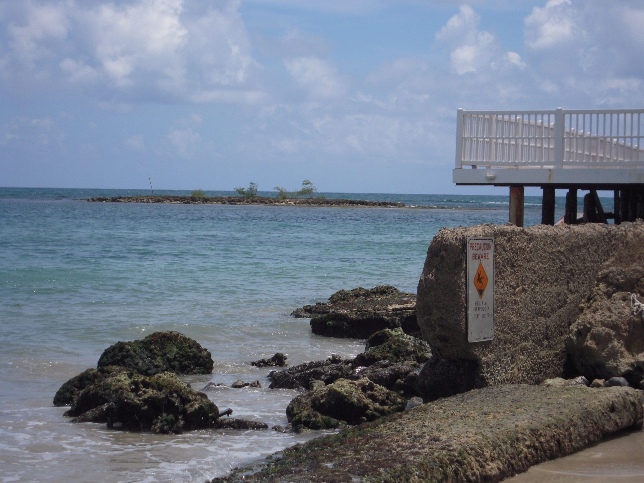 Al rescate de Isla Verde | Revista Lo Esencial