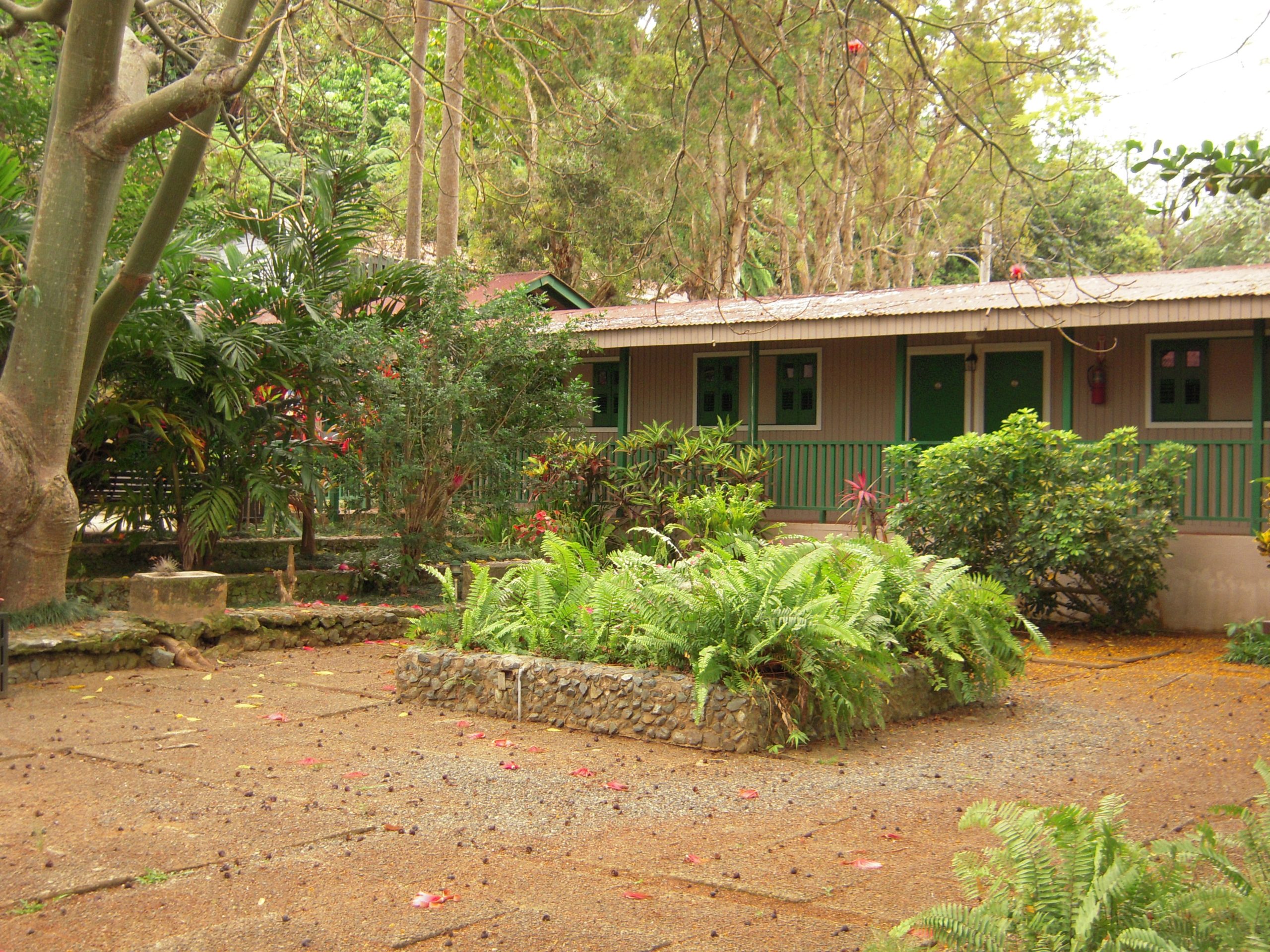 De Tour: En la Panorámica para Maricao | Revista Lo Esencial