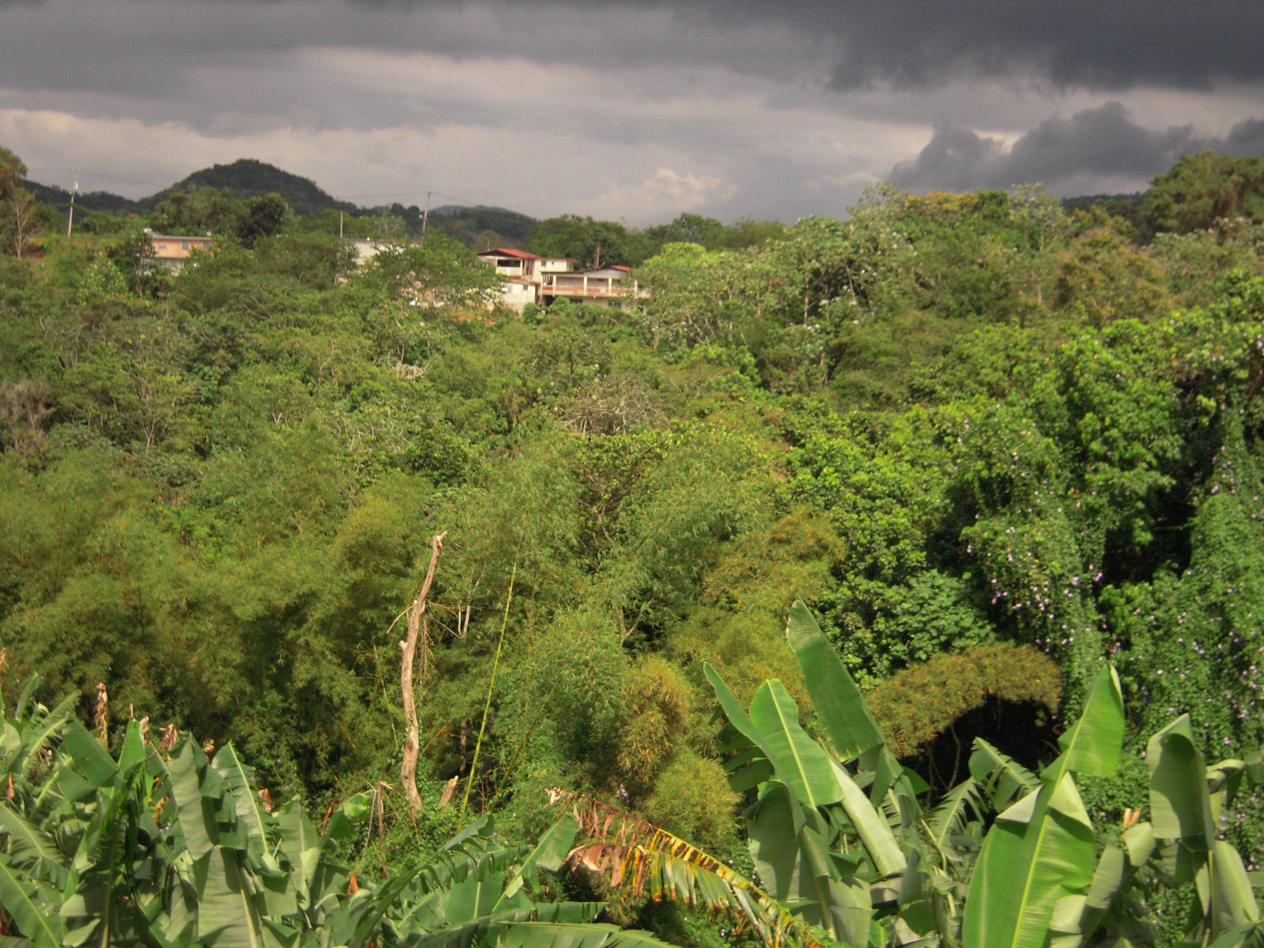 De Tour: En la Panorámica para Maricao | Revista Lo Esencial