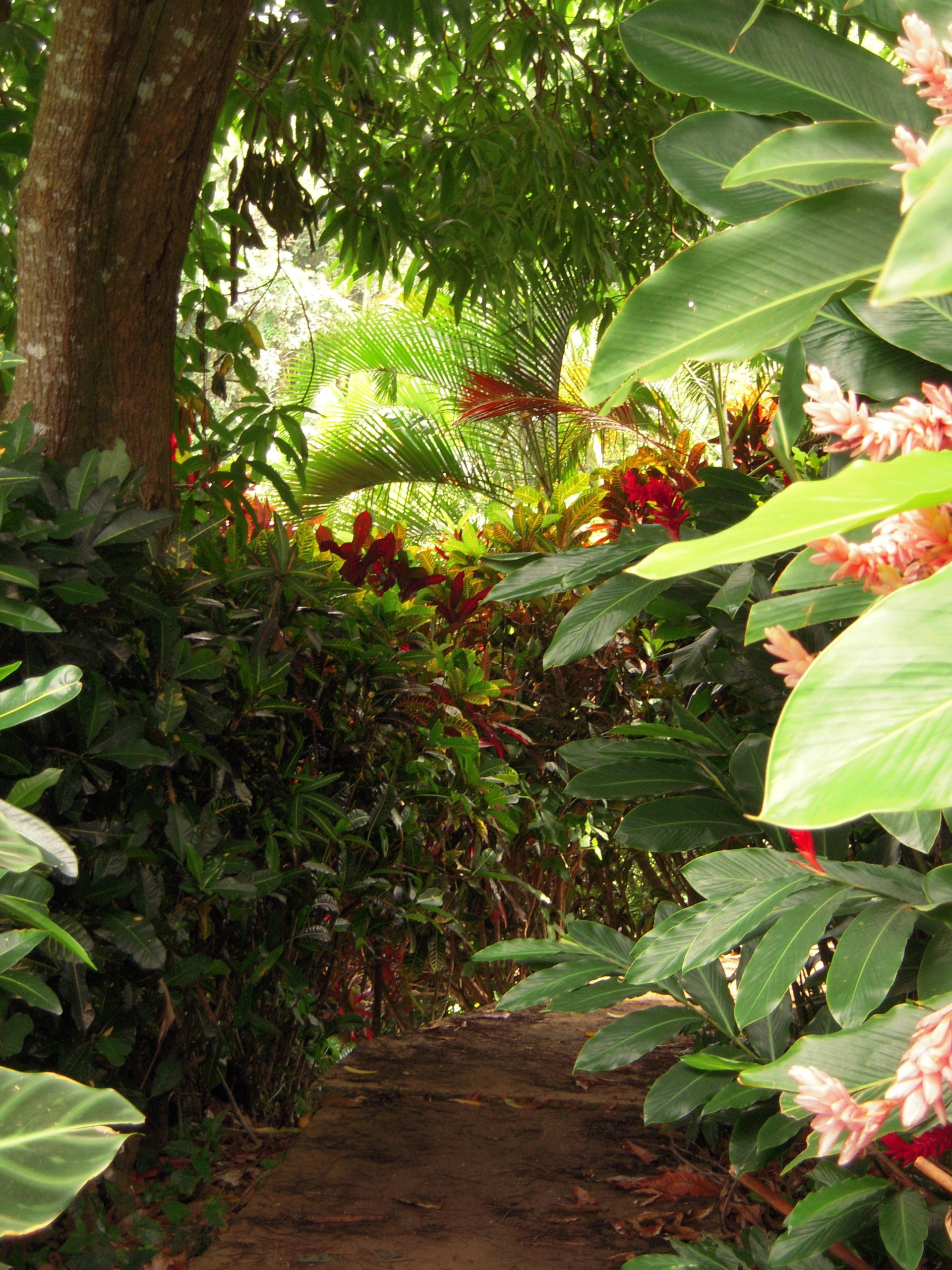 De Tour: En la Panorámica para Maricao | Revista Lo Esencial