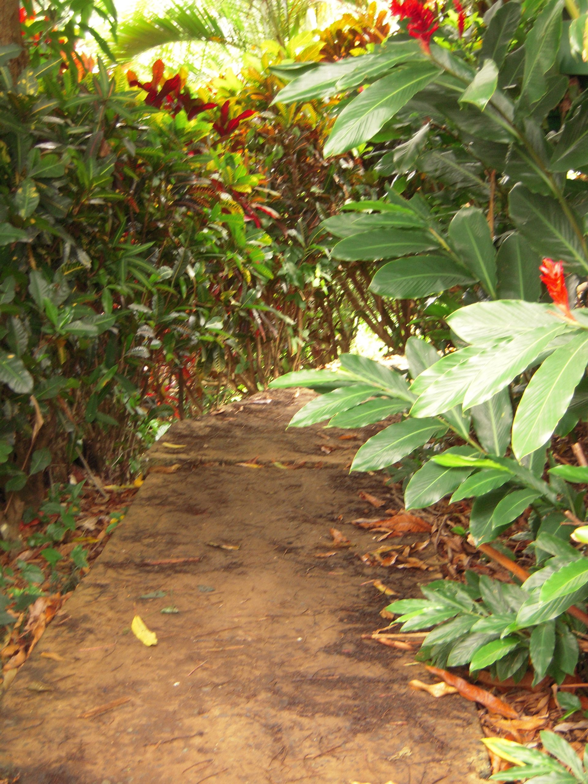 De Tour: En la Panorámica para Maricao | Revista Lo Esencial